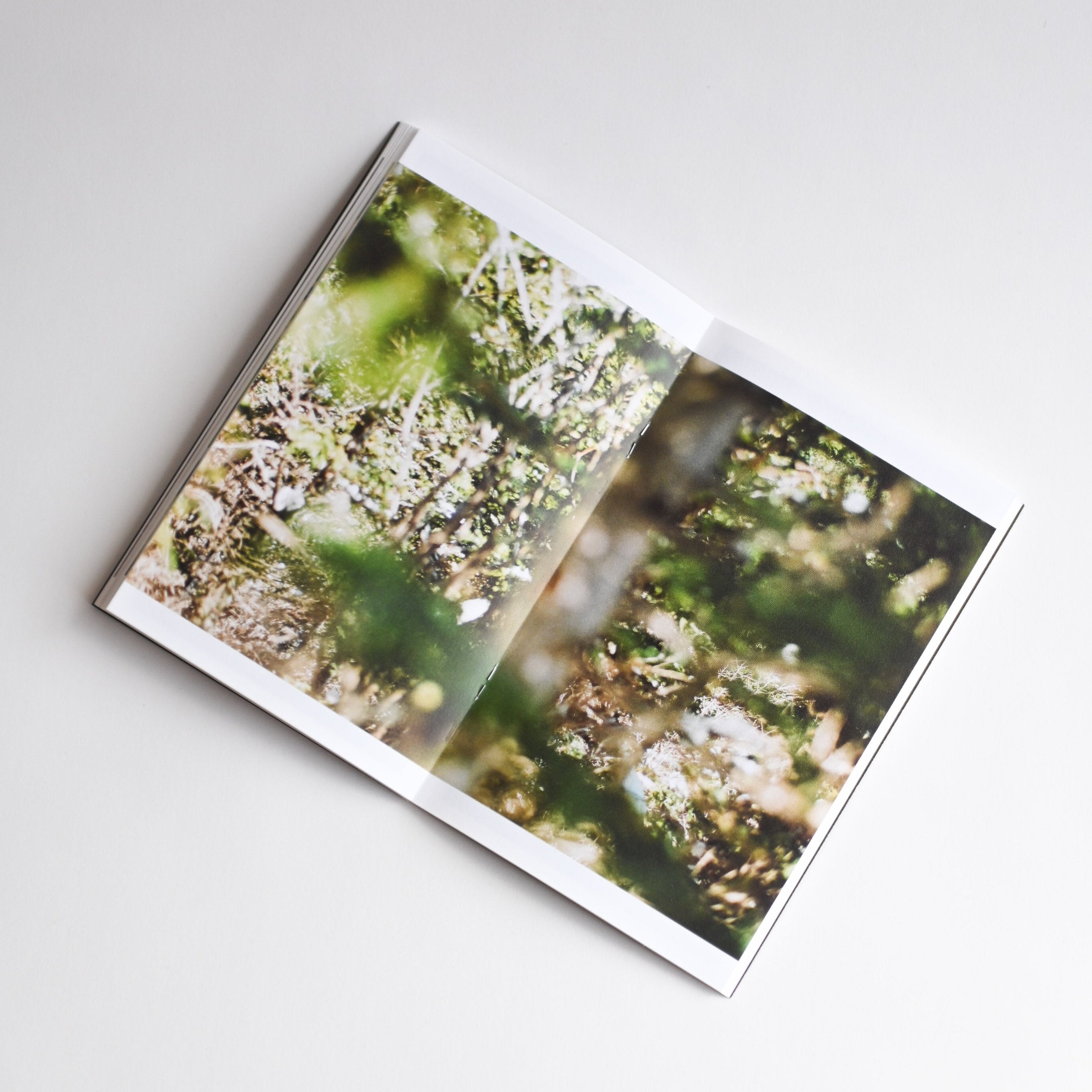 VOL.05 Still falling in the forest – YURI MIYATA