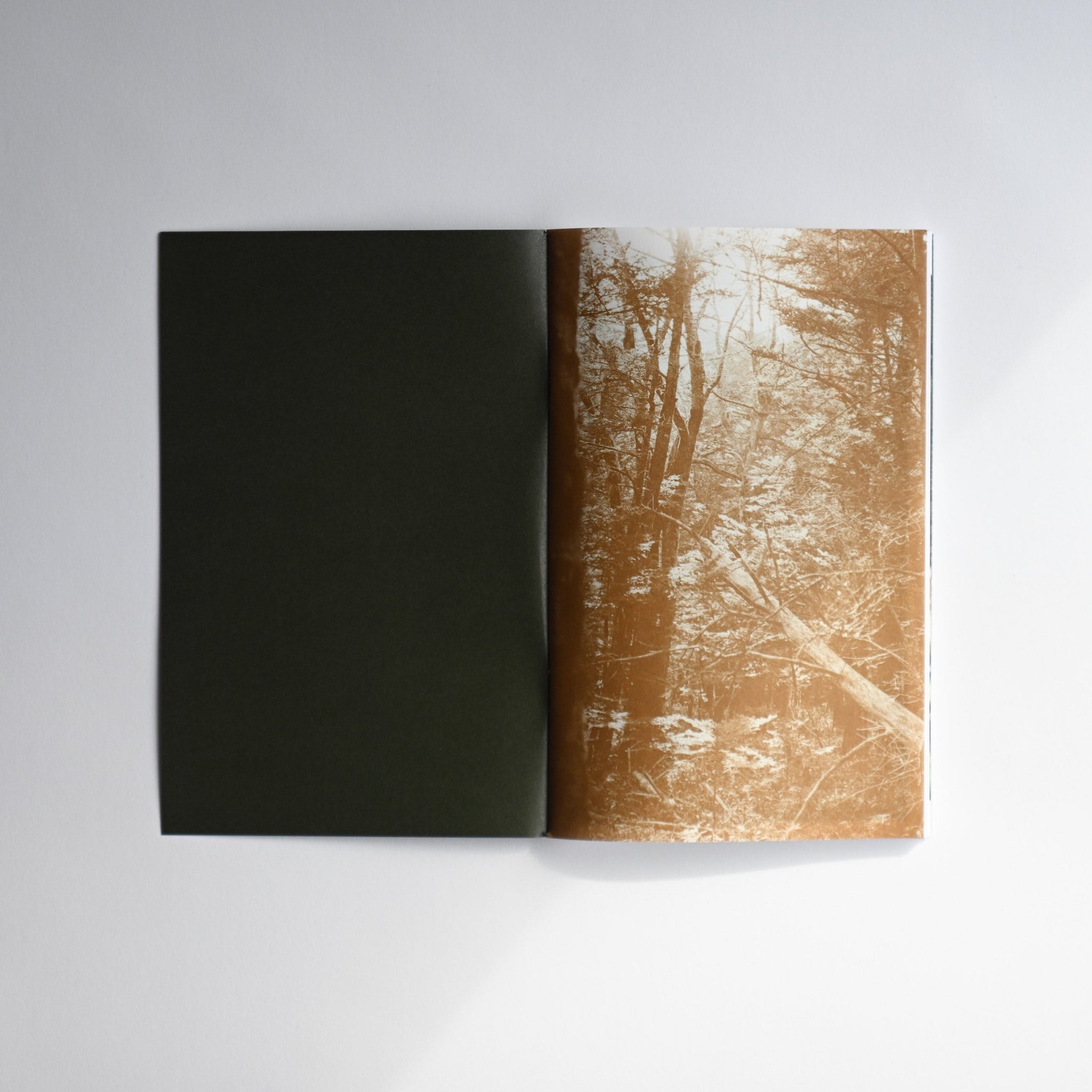 VOL.05 Still falling in the forest – YURI MIYATA