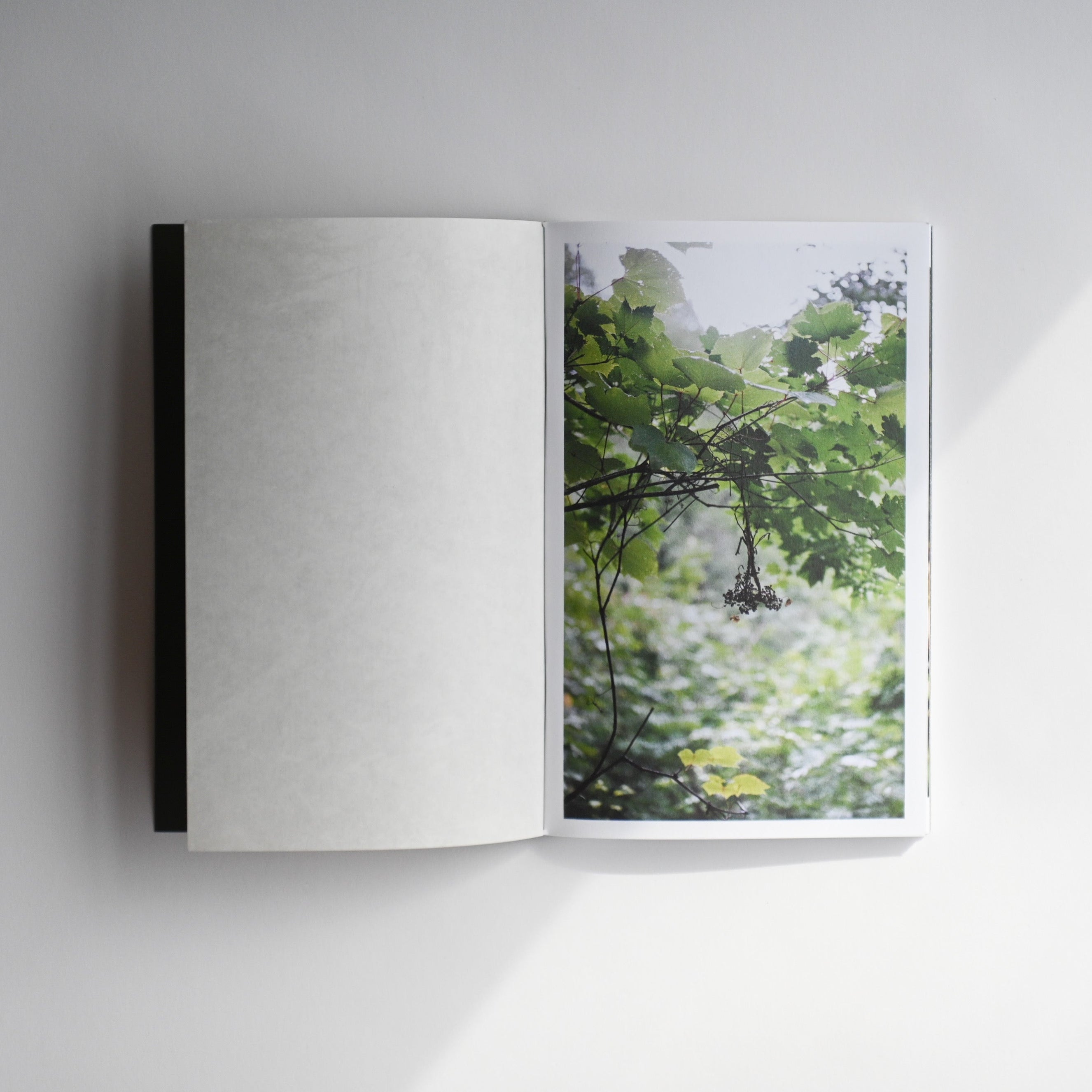 VOL.05 Still falling in the forest – YURI MIYATA
